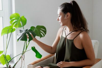 Monstera – Die richtige Pflege für das Fensterblatt | leafnjoy.com