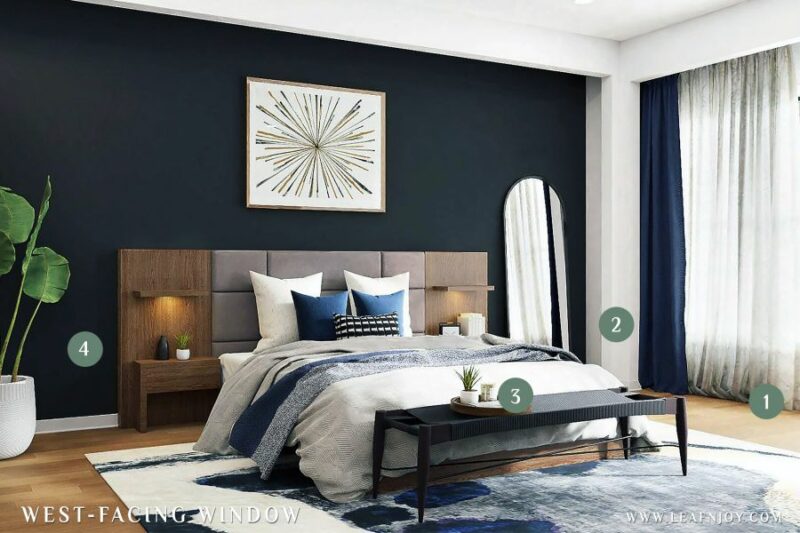 Easy Light Guide for Houseplants | leafnjoy.com