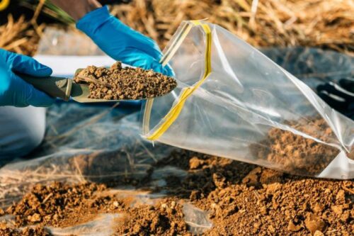 The Complete How to Sterilize Soil 🌱 | leafnjoy.com