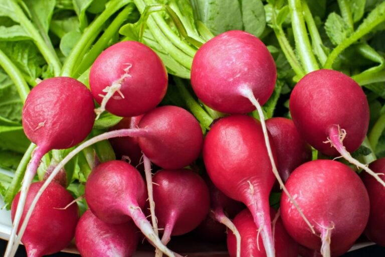 16 Best Spinach Companion Plants + 6 to Avoid 🌱| leafnjoy.com